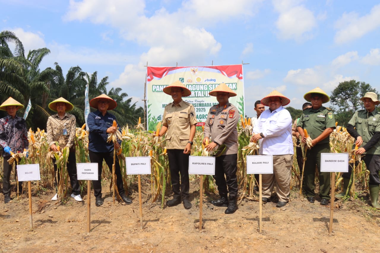 PANEN RAYA JAGUNG SERENTAK KUARTAL II DI PALI: POLRI DAN PEMERINTAH DAERAH PERKUAT KETAHANAN ...